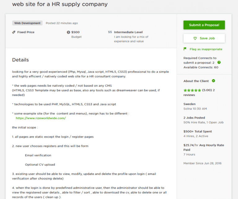 Freelance Web Developer Proposal Template