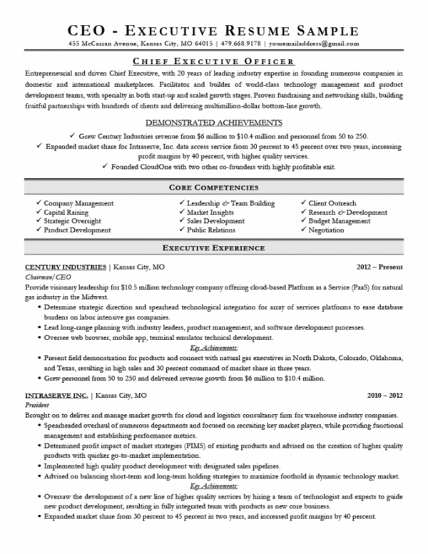 Executive Resume Examples & Writing Tips Ceo Cio Cto Executive ...