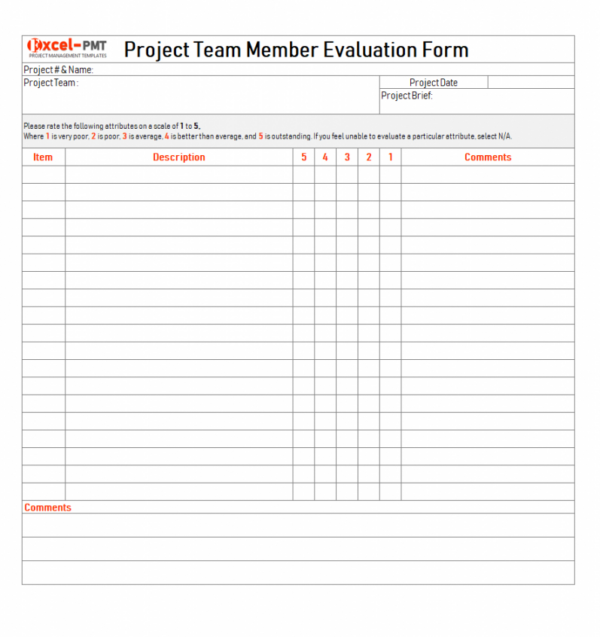 Project Team Member Evaluation Form Project Management Project ...