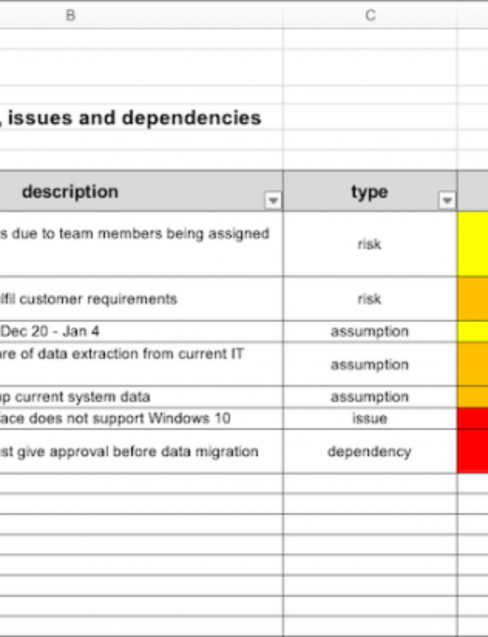 Individual Performance Management Template